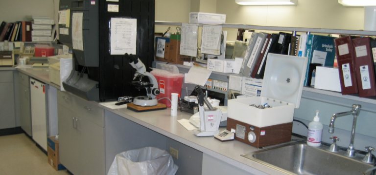 Lab Logistics: Steps to Take to Relocate Your Laboratory