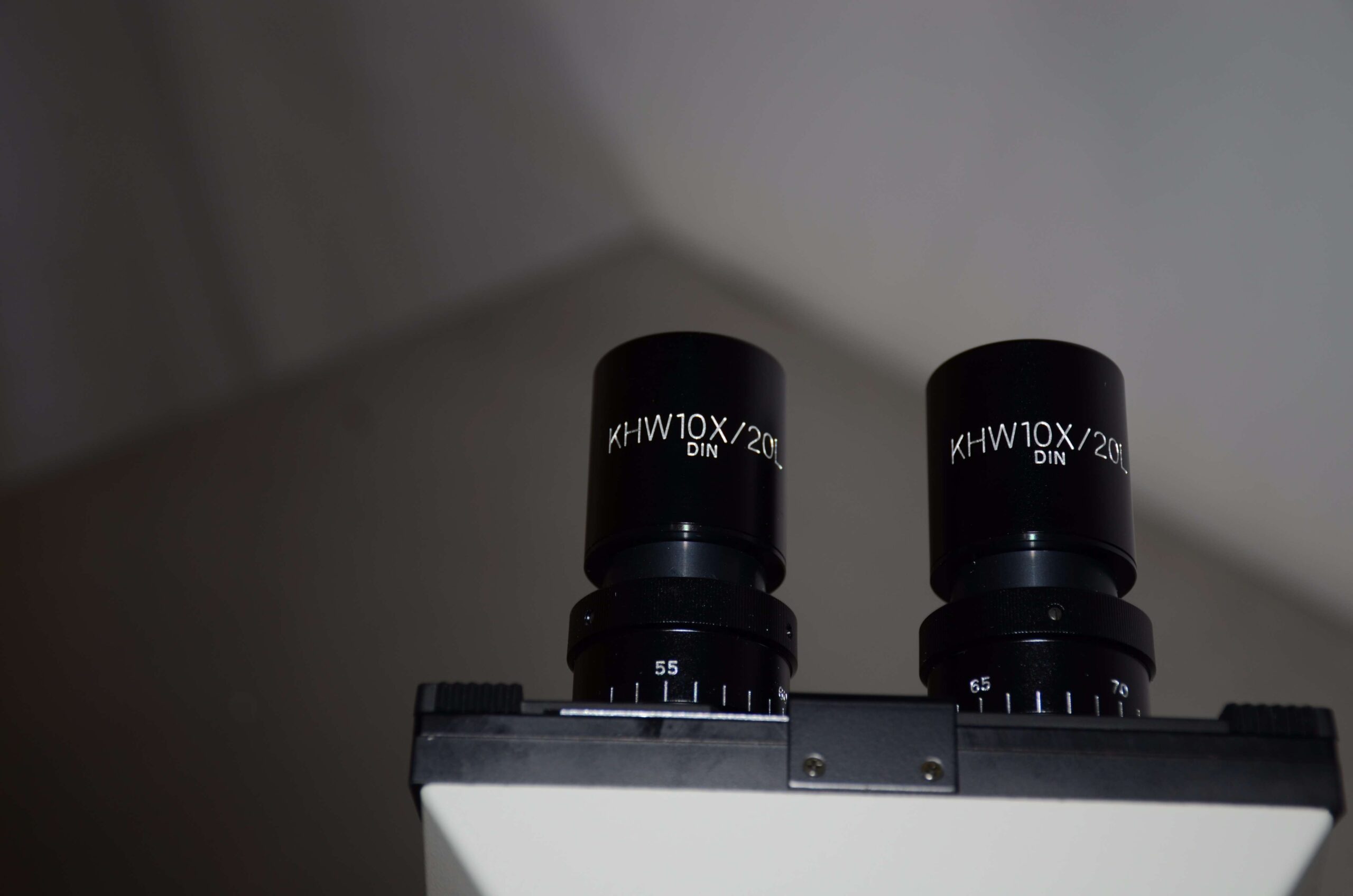 MEIJI TECHNO Microscope ML2000 | BaneBio