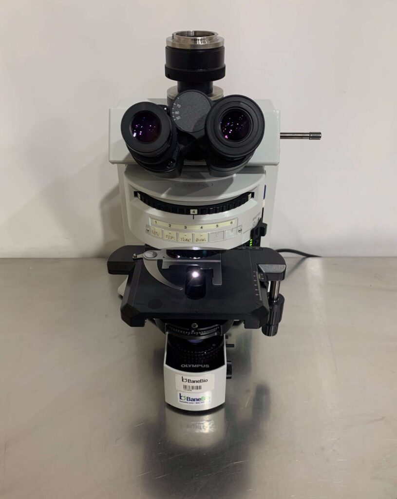 Olympus Fluorescence Microscope BX51 | BaneBio