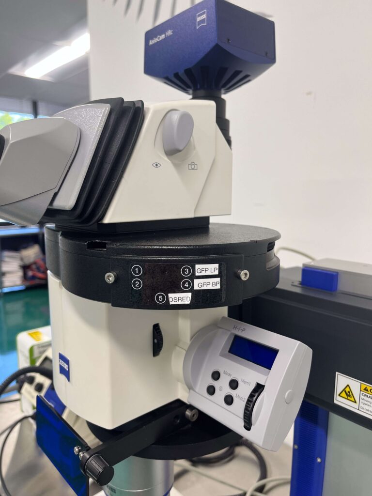 Zeiss Microscope with accessories SteREO Discovery V12 | BaneBio