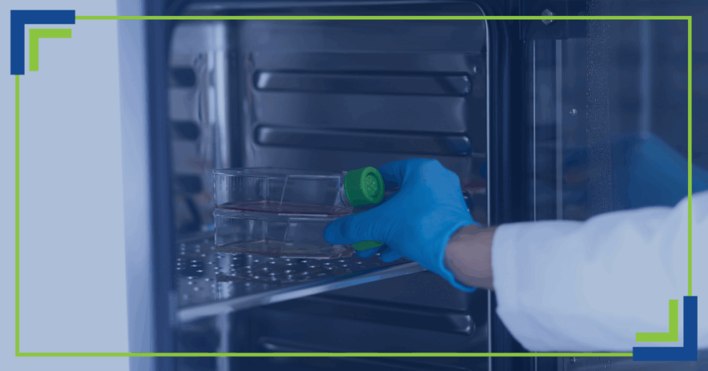 What Is a Lab Incubator and How Does It Work?