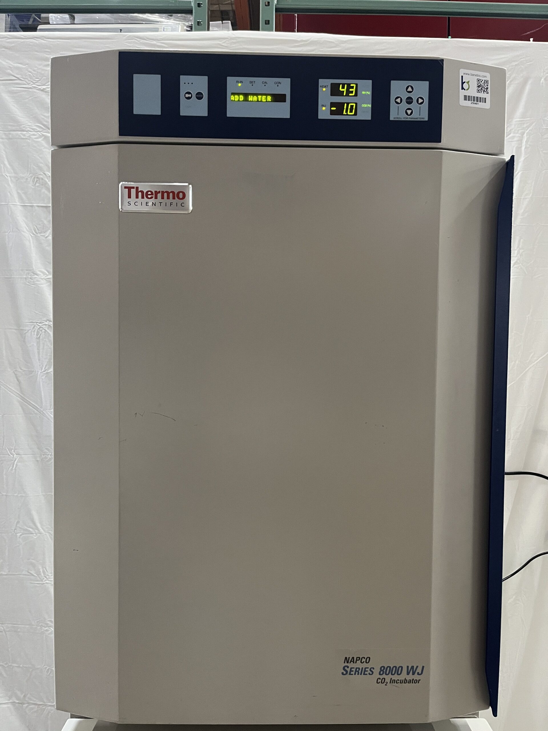 Thermo Scientific Napco 8000 Series CO2 Incubator 3586 | BaneBio