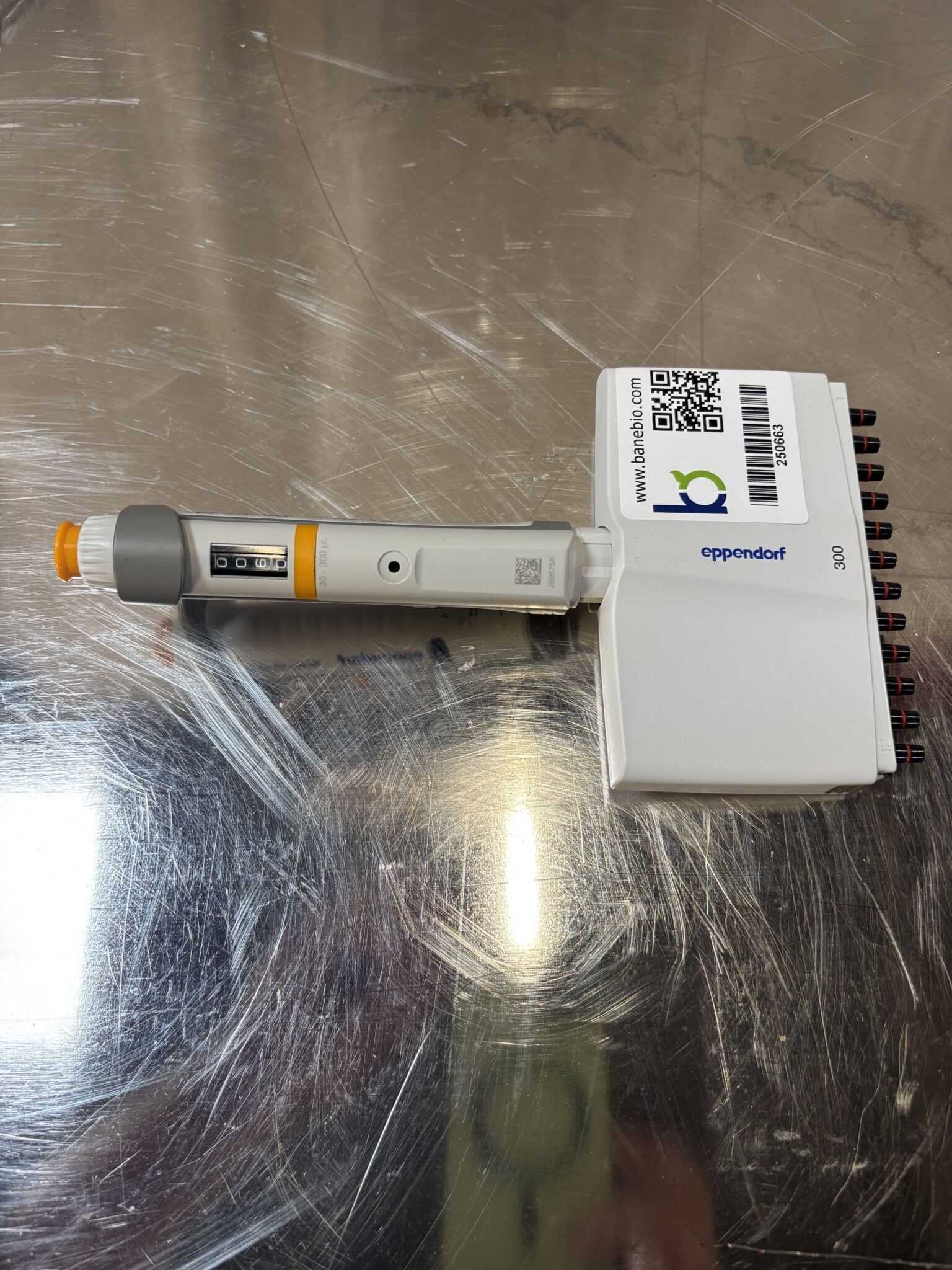 Eppendorf 12 Channel Pipette Research Plus 120-1200uL | BaneBio